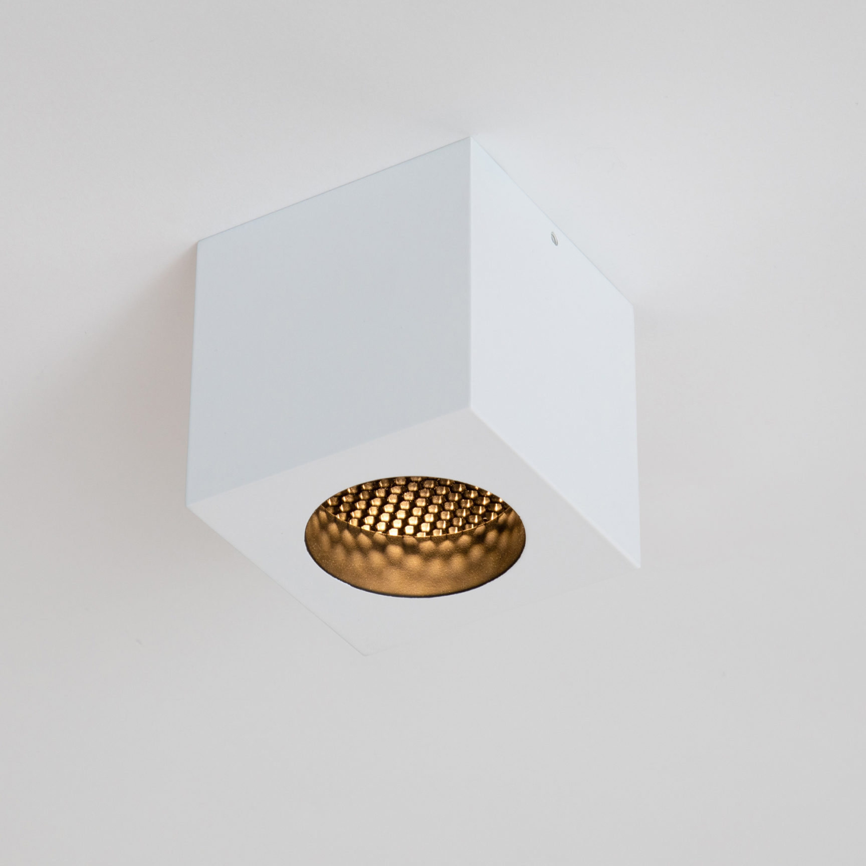 Accueil - Ozone Light