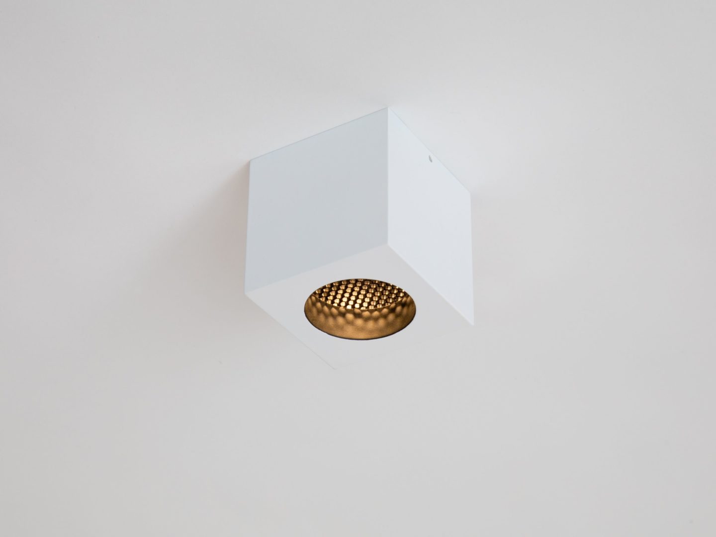 Projects - Ozone Light